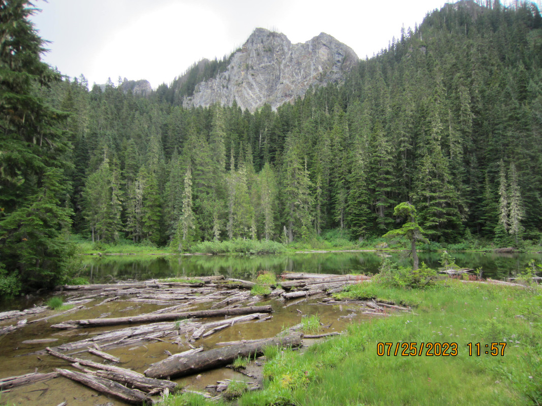 IMG 1503 — Postimages