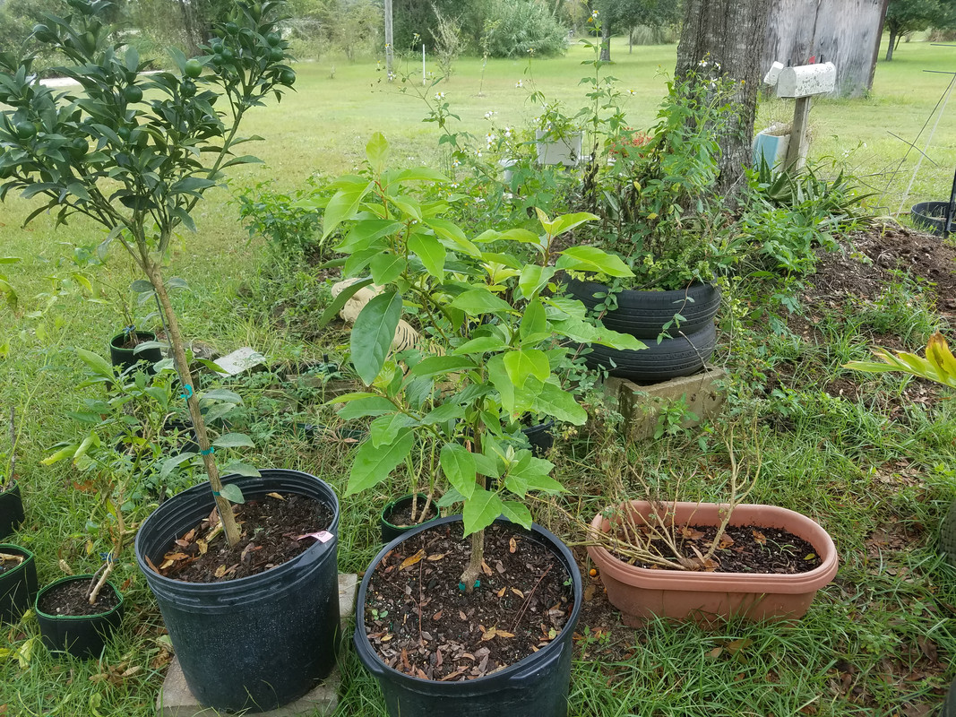 20200928 100656 — Postimages