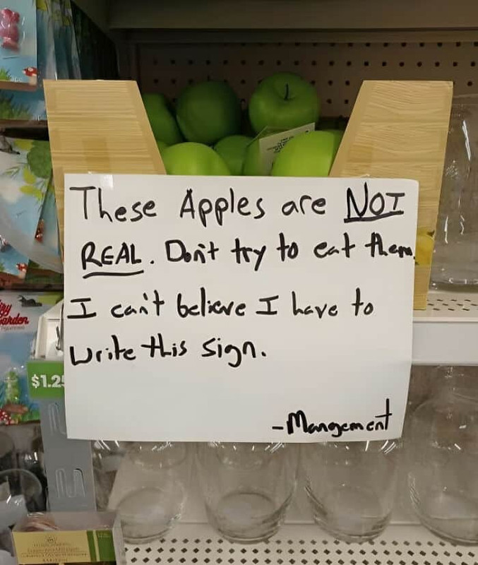 IMG 9477 — Postimages