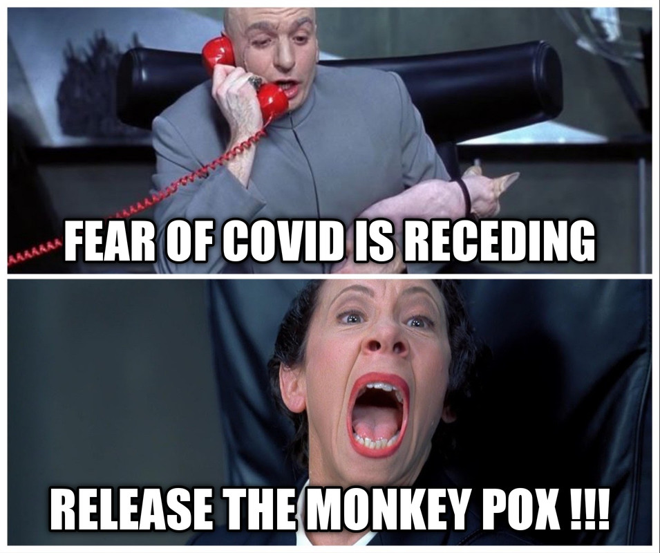 Fear of covid is receding Release the Monkey Pox meme 11210 — Postimages