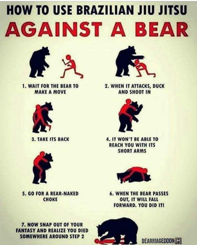 jiu jitsu on bear — Postimages