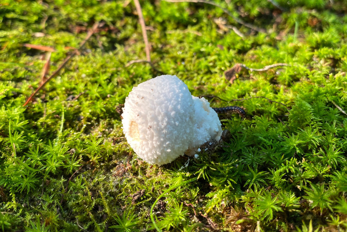 IMG 9583 — Postimages