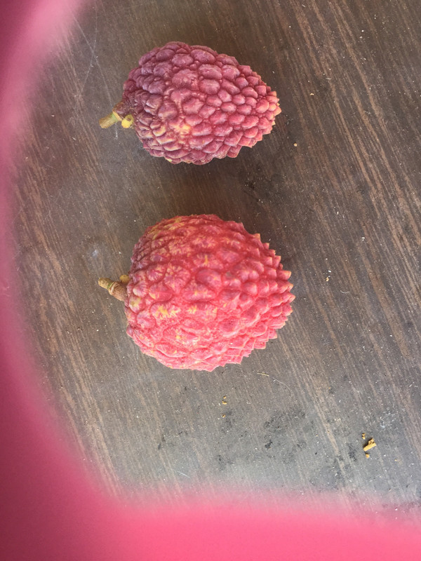 IMG 0208 — Postimages