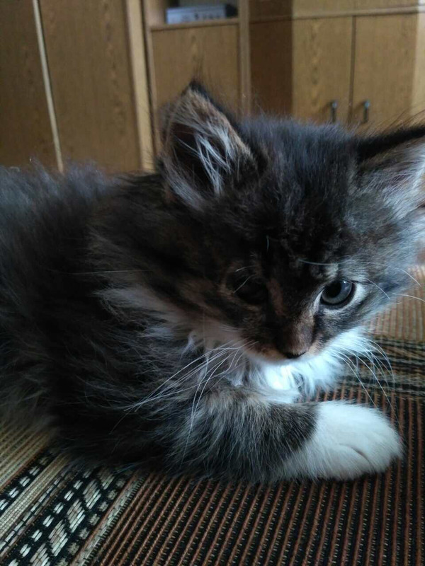 IMG 9549 — Postimages