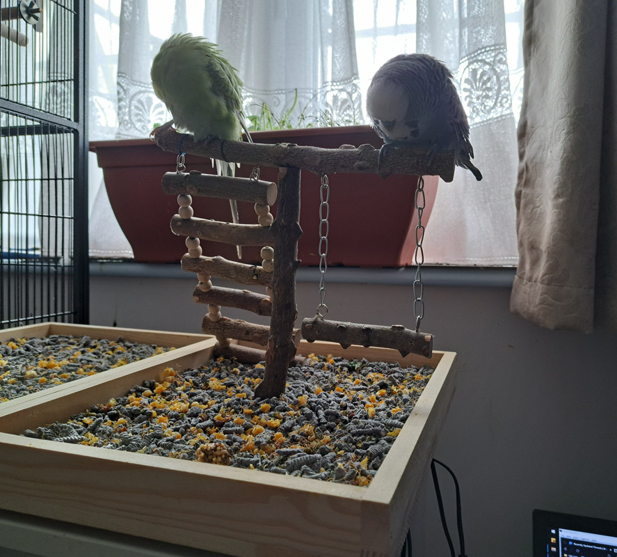 20230913 161513 — Postimages