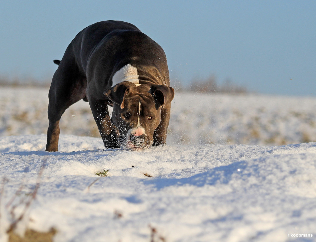 sized IMG 1462 — Postimages