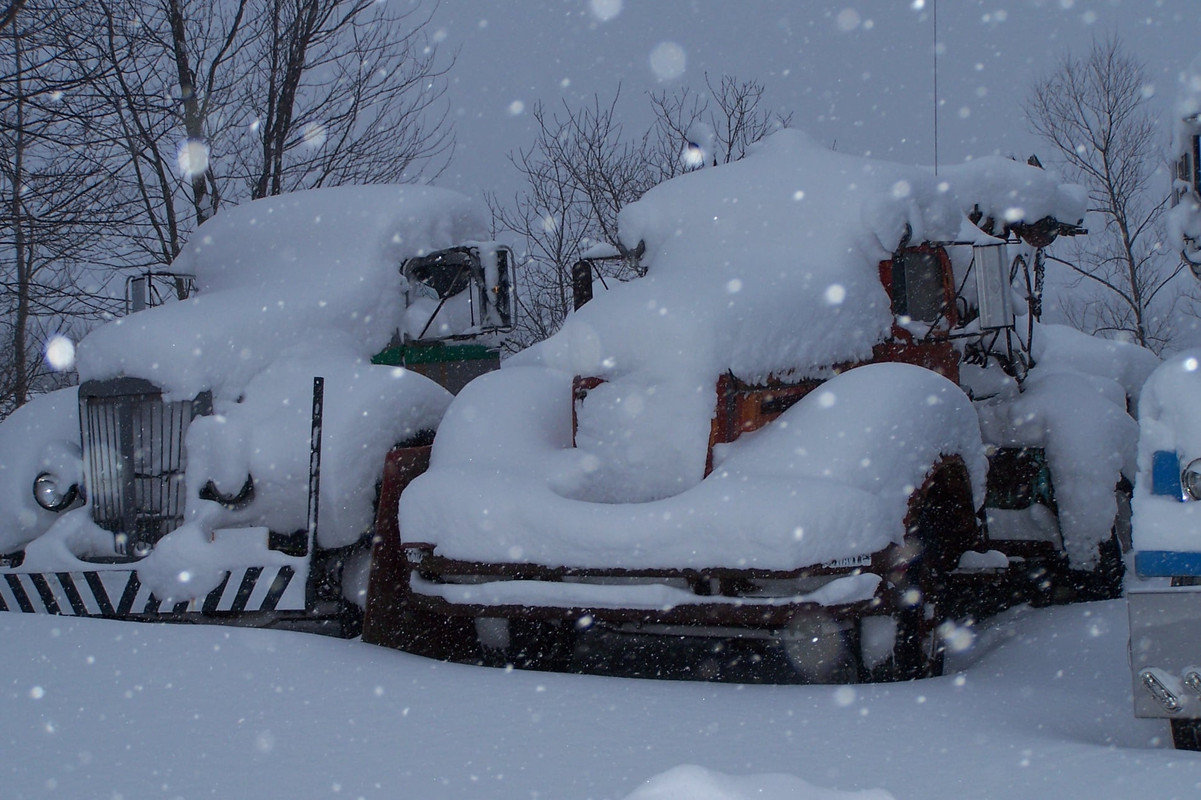 What Am I 5534 White 1948 WC3264 1949 WC28 with snow Steve Slocum FB — Postimages