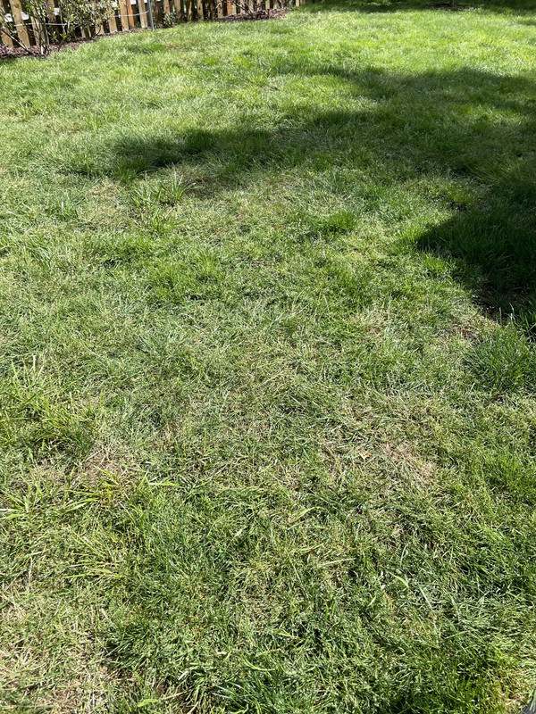 IMG 1924 — Postimages