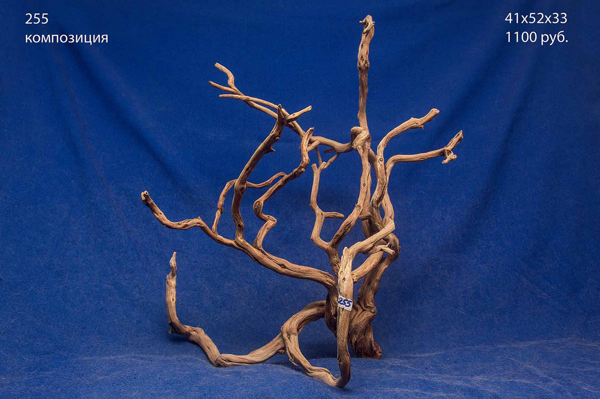 IMG 5570 — Postimages