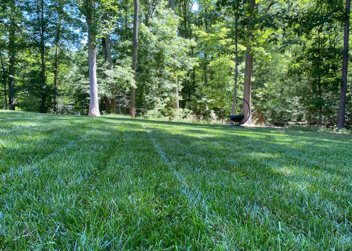 IMG 4684 — Postimages