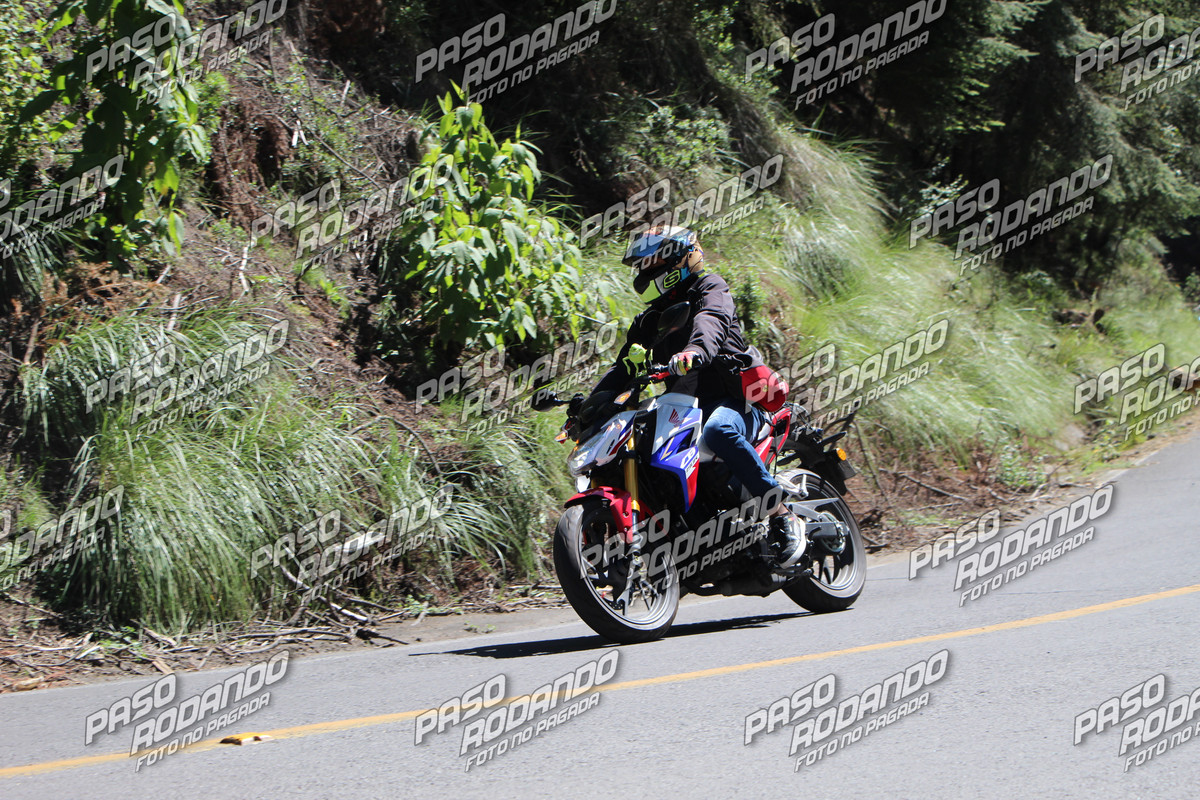 IMG 3618 wm 32981 watermarked — Postimages