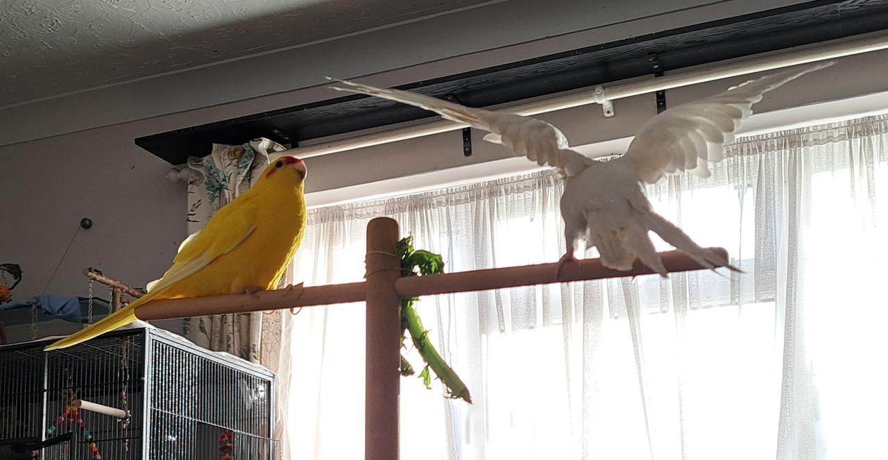 20240806 190829 — Postimages