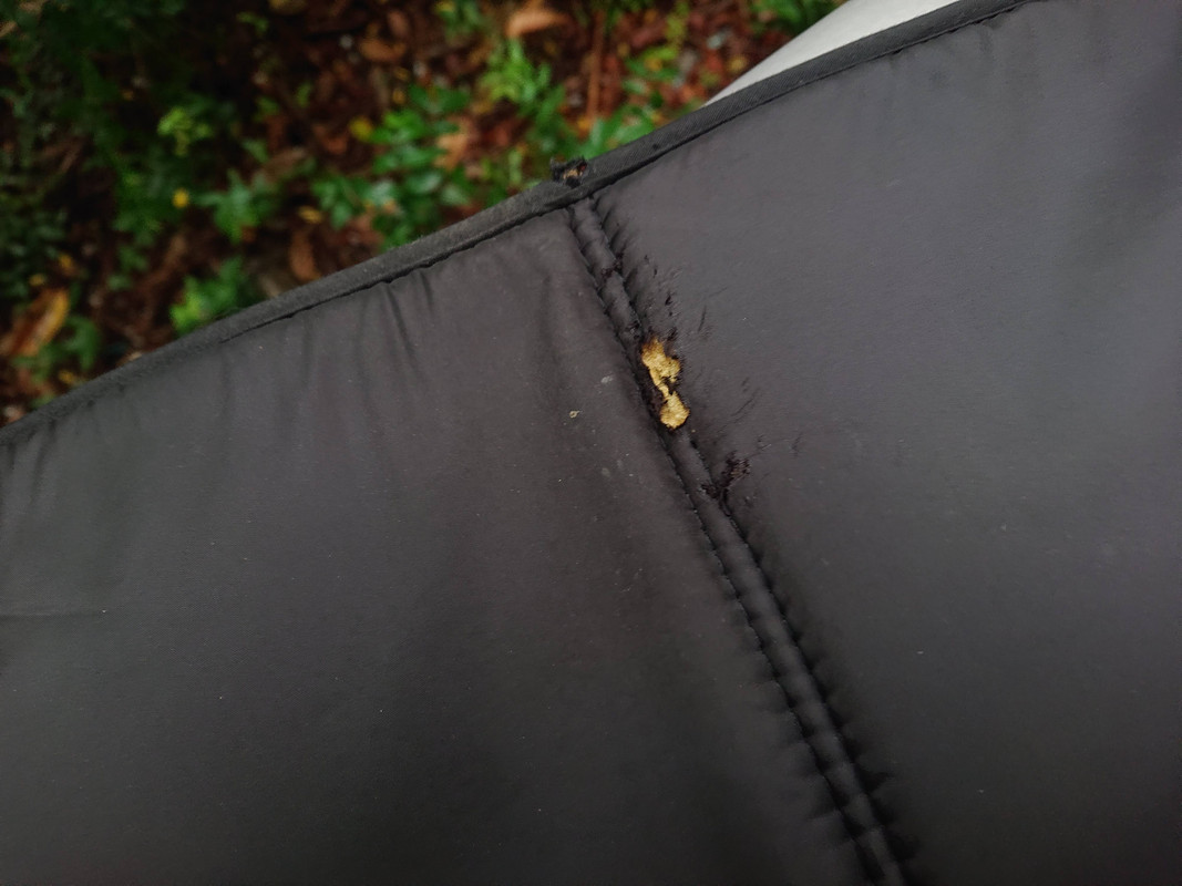 DSC 0598 — Postimages