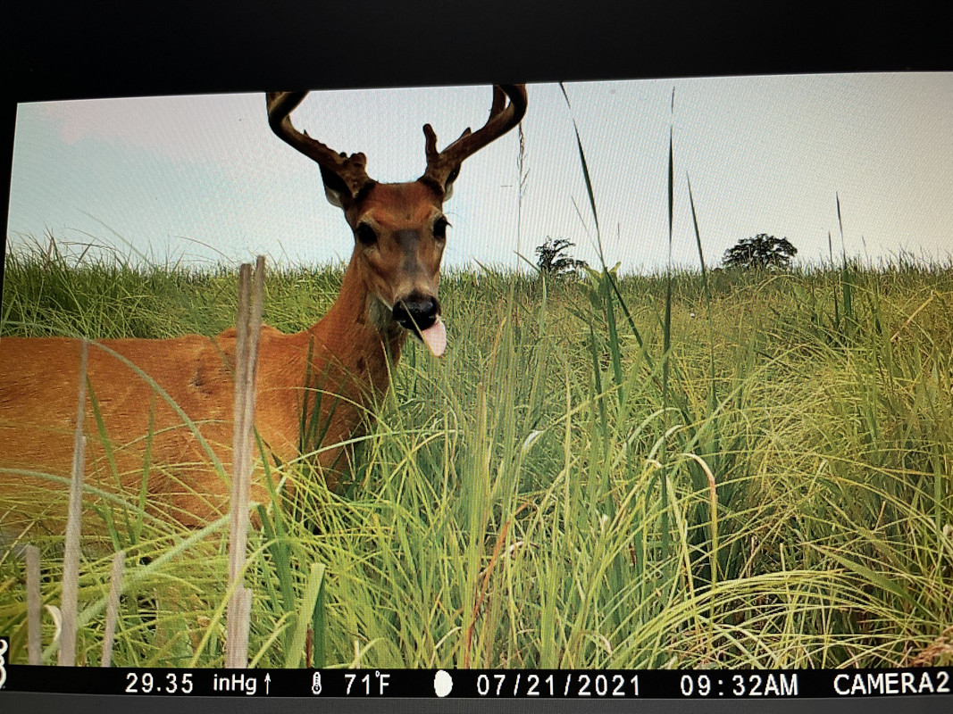 IMG 8150 — Postimages