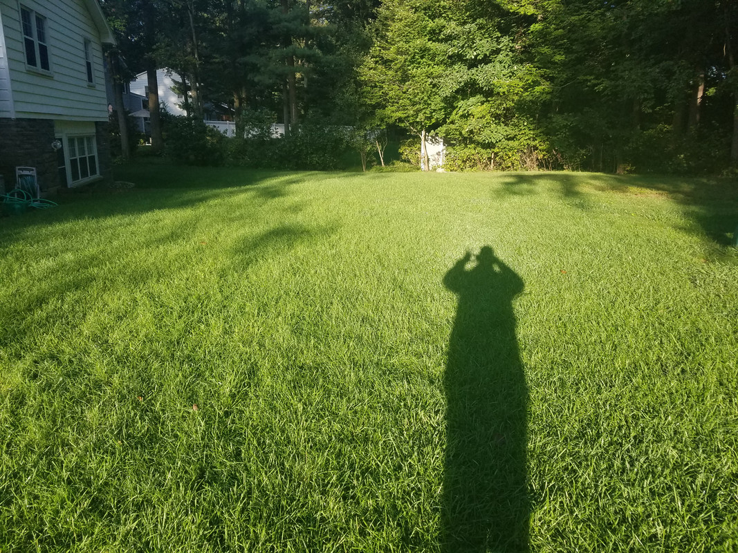 20170909 073742 — Postimages