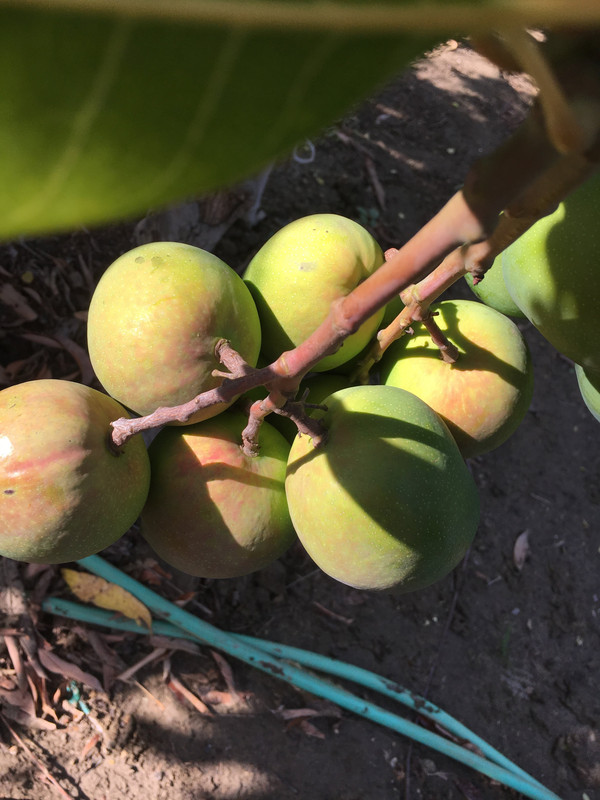 IMG 2468 — Postimages