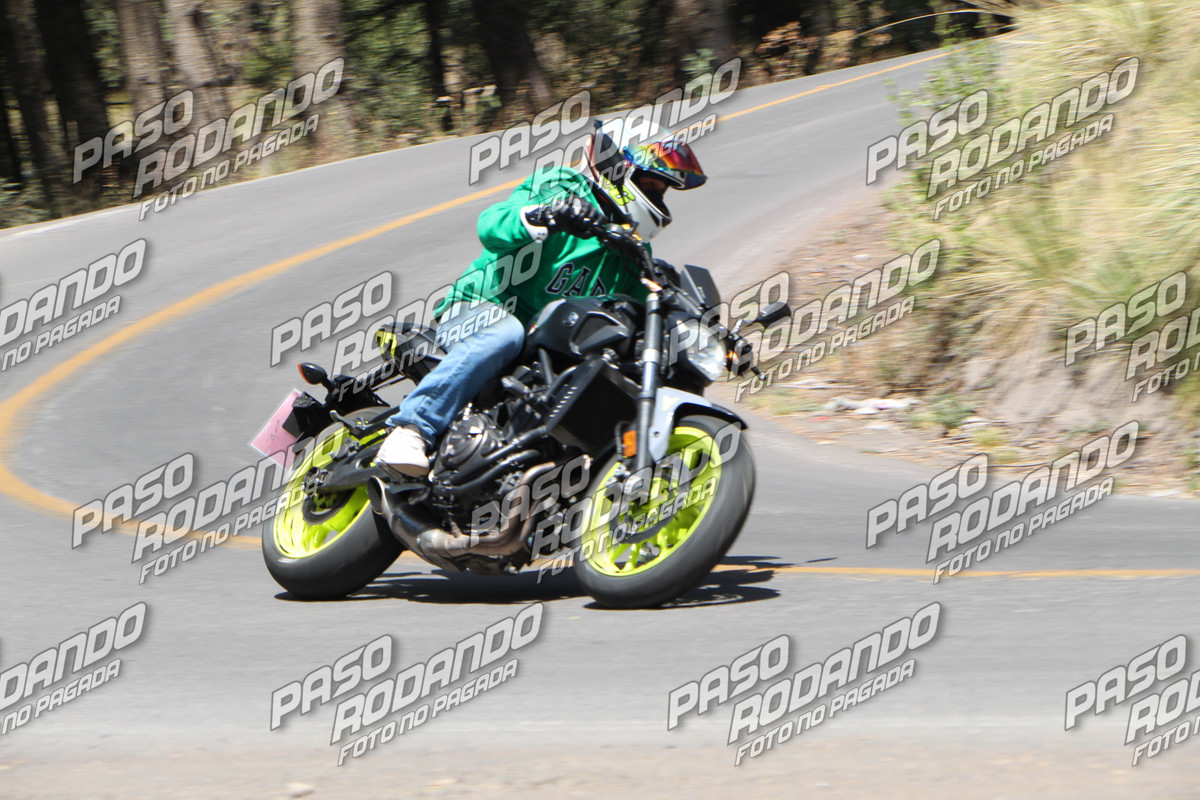 IMG 3140 wm 6243158 300000001 watermarked — Postimages