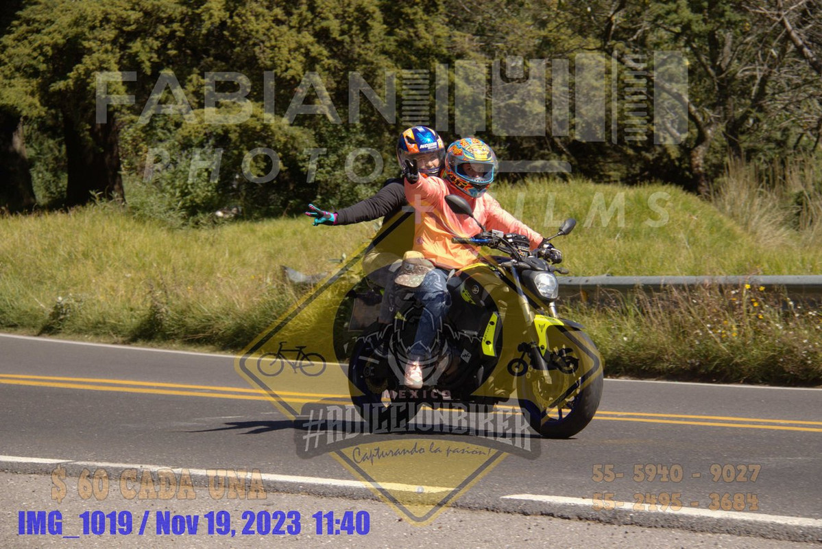 IMG 1019 — Postimages