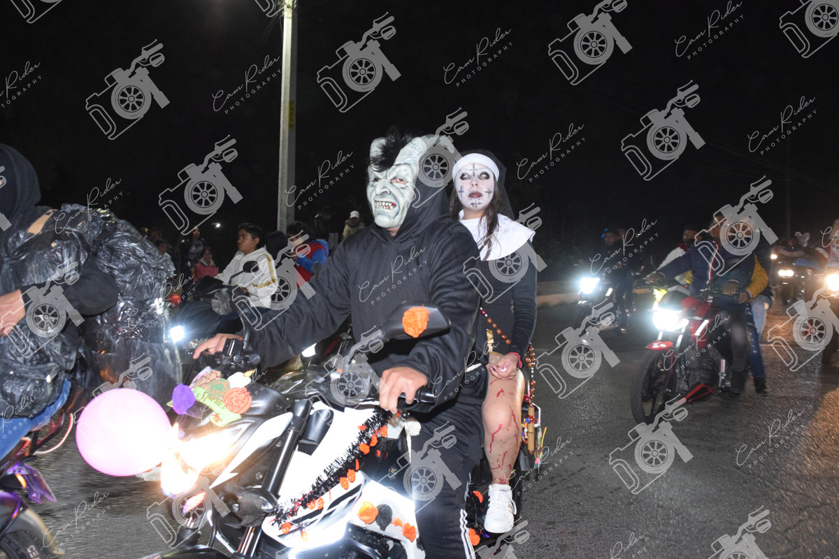 DSC 0656 — Postimages