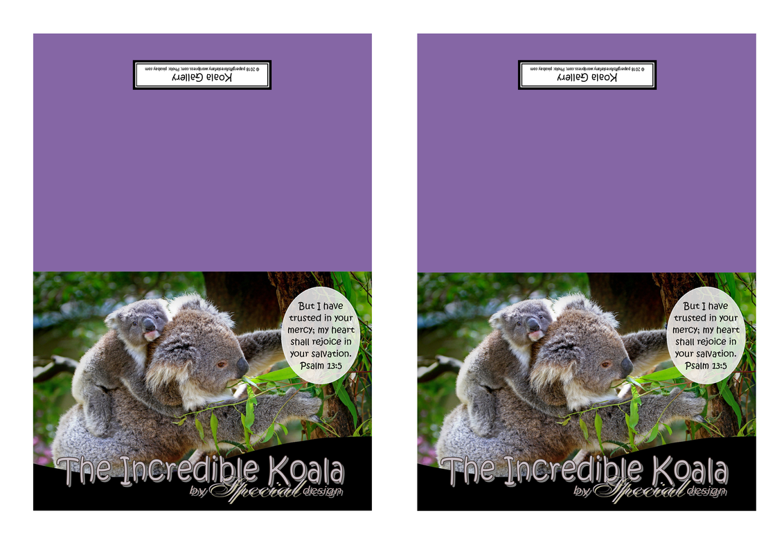 PGFE Koala Photo Note Cards1 A4 — Postimages