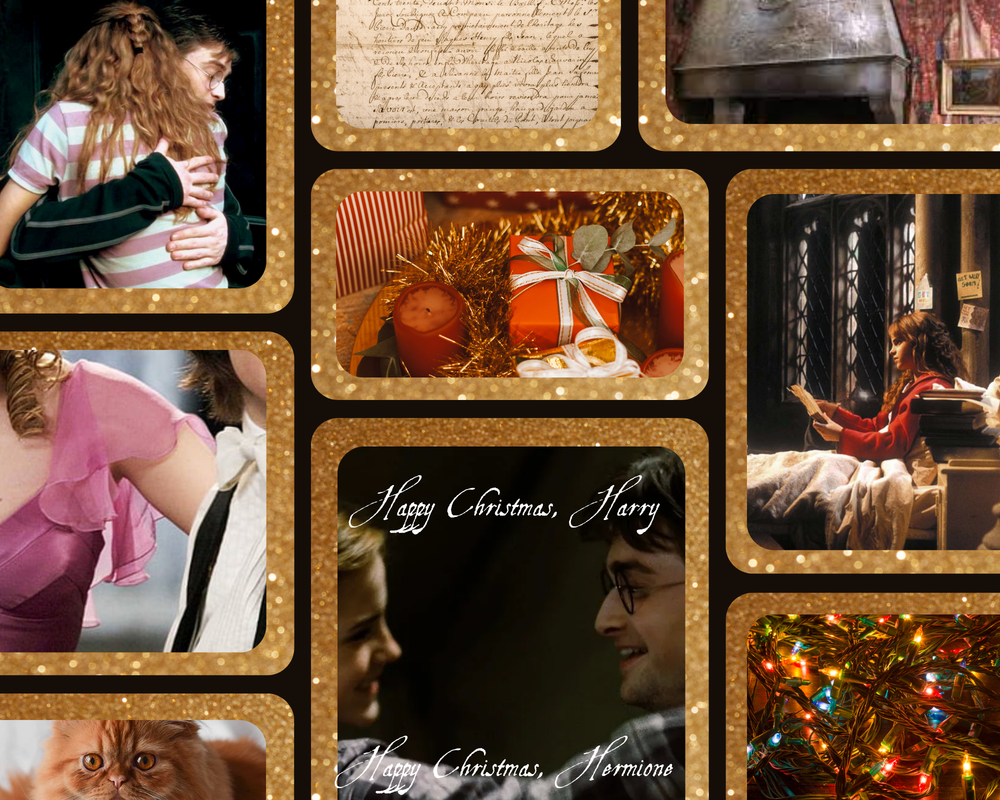 Happy Christmas, Harry. Happy Christmas, Hermione. - Halliwell19 ...