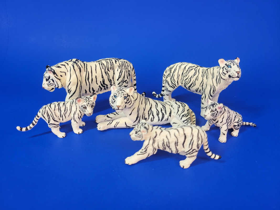 20240601 101347 — Postimages