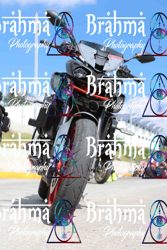 IMG 1244 — Postimages