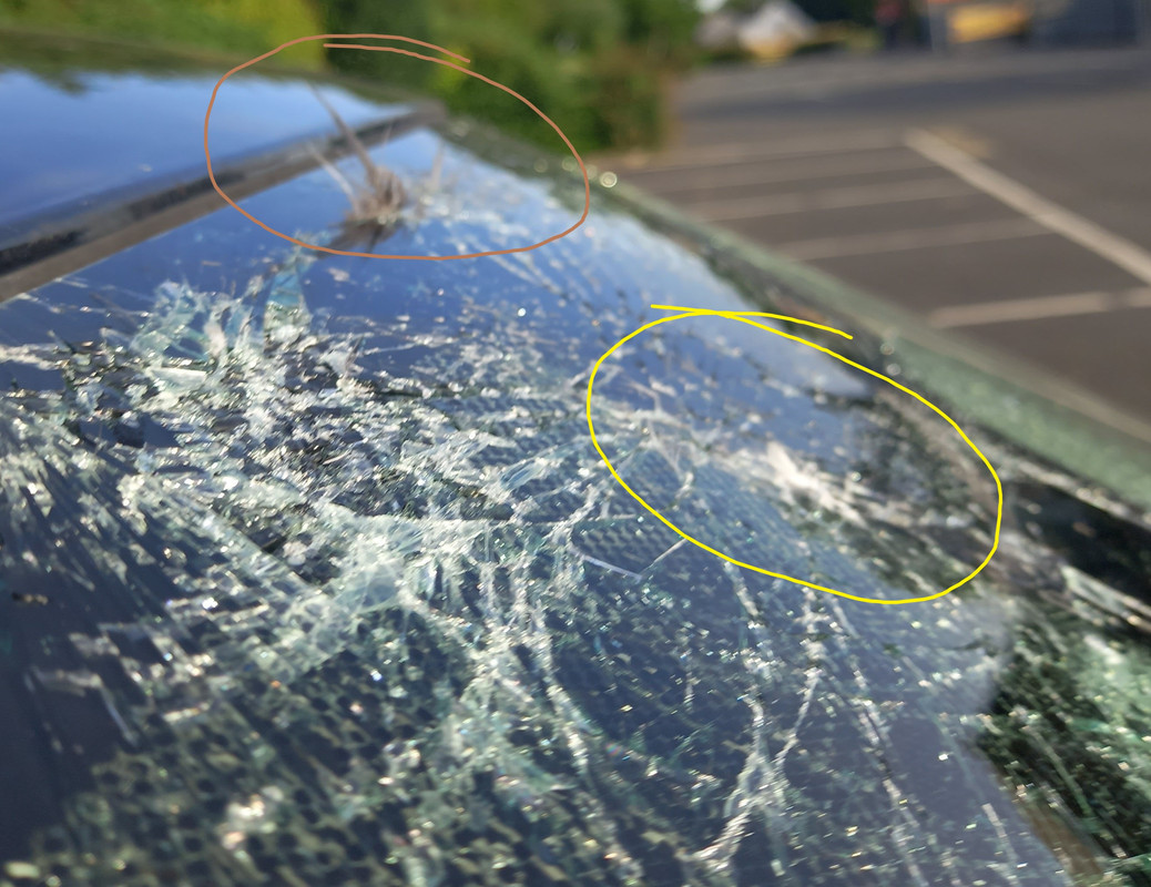 feathers — Postimages