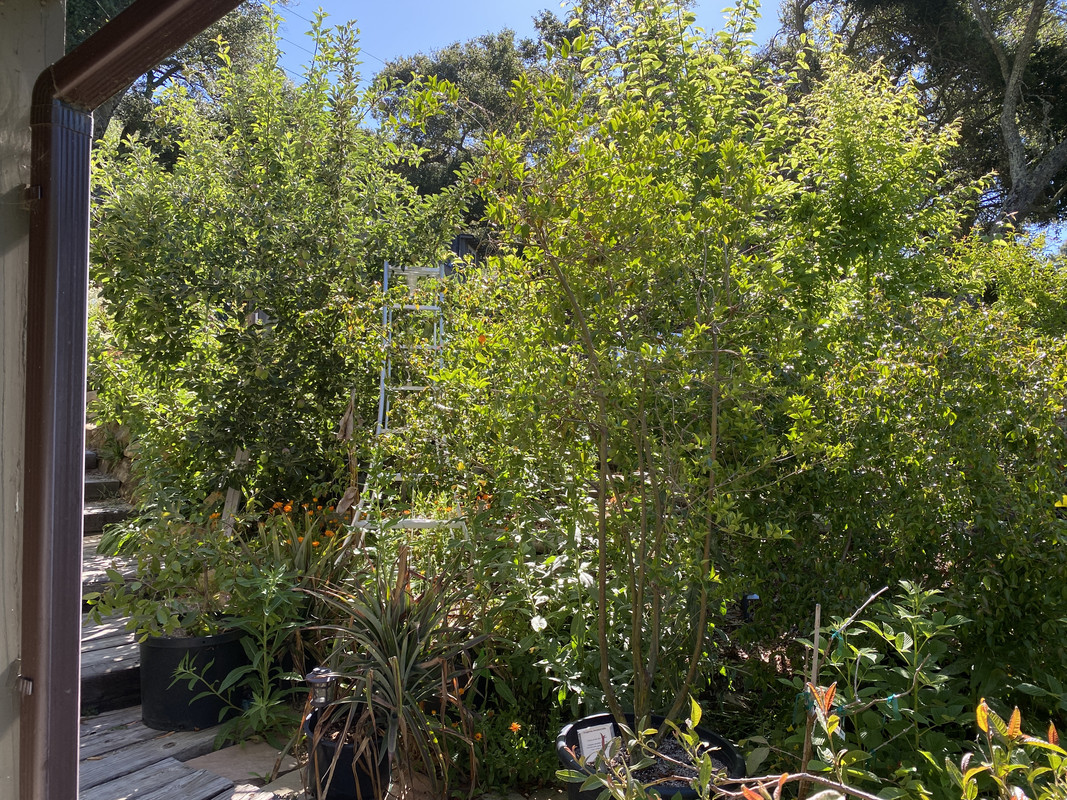 7 D9 B0 EC3 D2 C8 41 B6 A62 C 9 BD6 E087756 B — Postimages