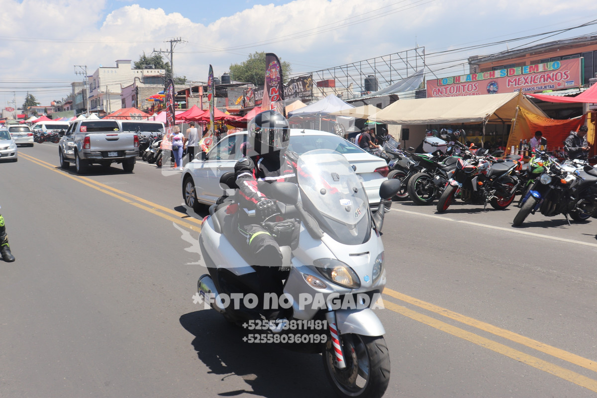 batch 20230614123811 IMG 2723 — Postimages