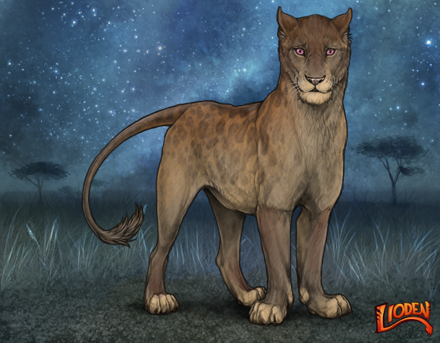 ADOPTABLE CUBS :|: Lioden
