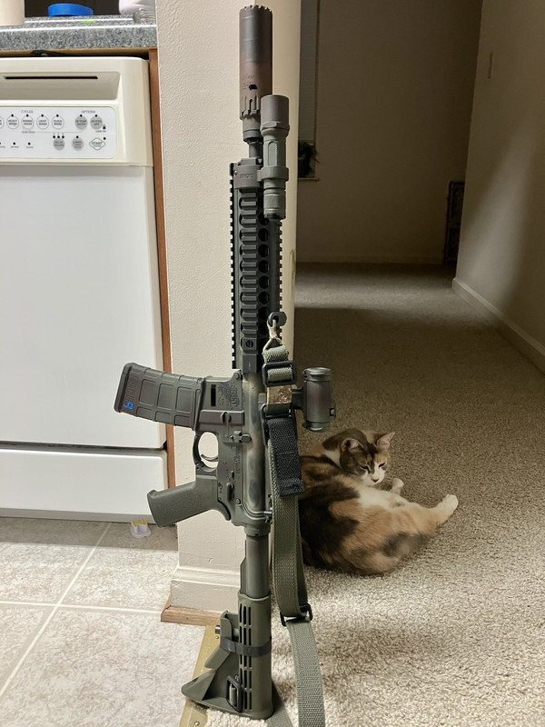 Rate my first rattle can job! > General Discussion > AR15.COM
