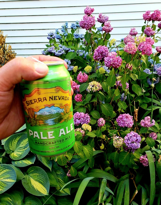 20240619 190724 — Postimages