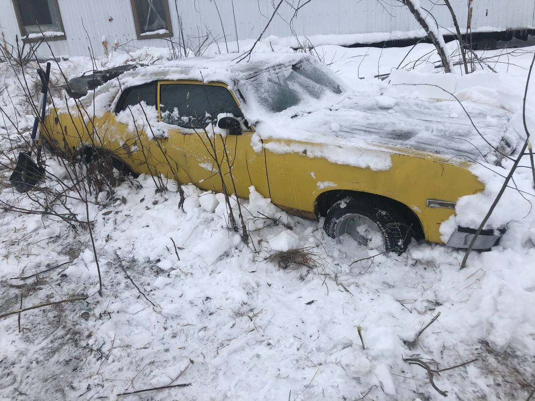 IMG 4153[2] — Postimages