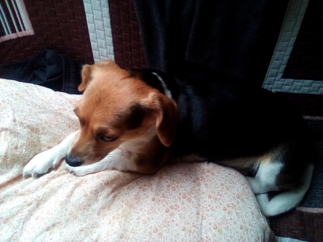 IMG 20231115 143301 466 — Postimages