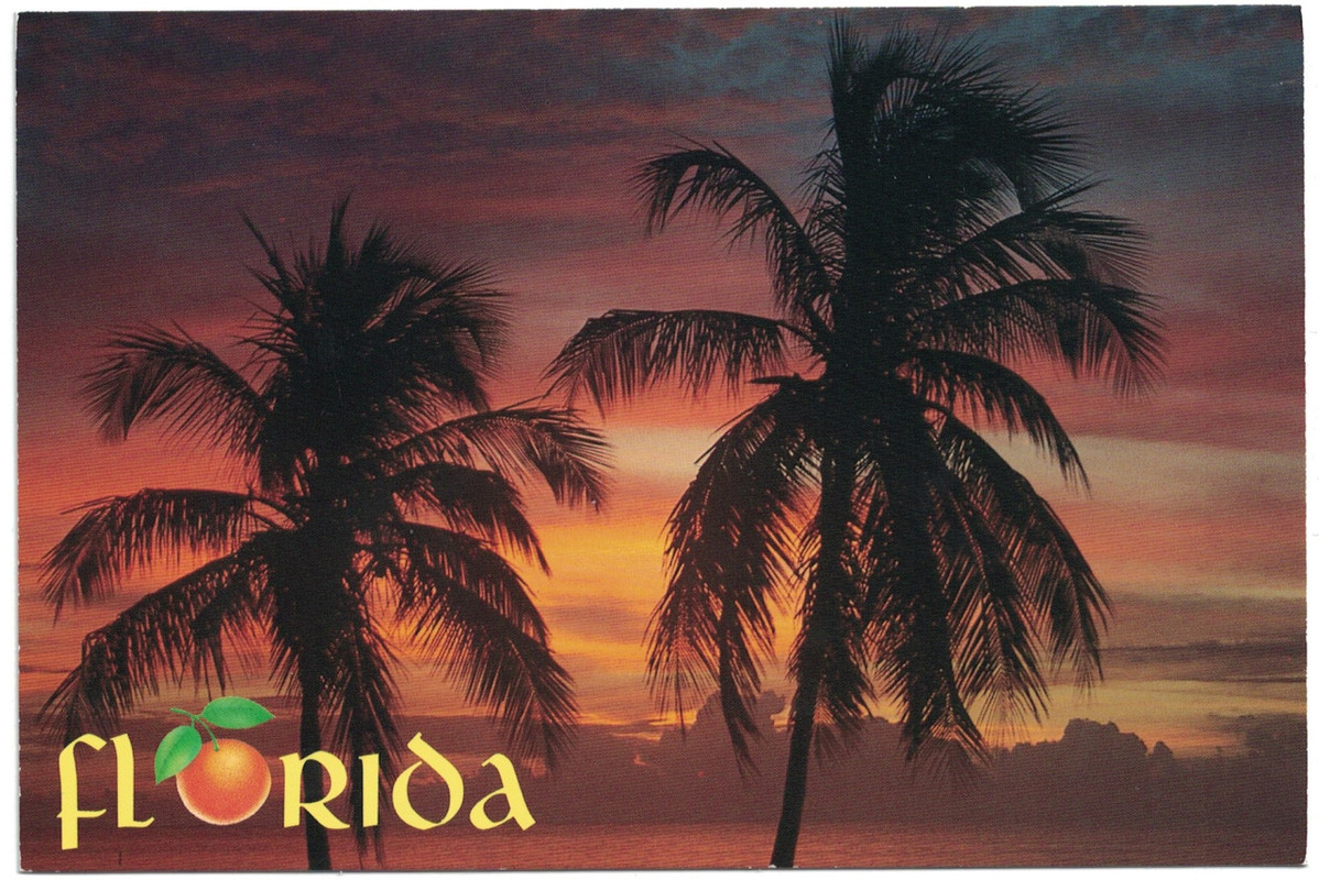 4f3d6b20 002a 4cfc 8129 070fbcd37fc6 — Postimages