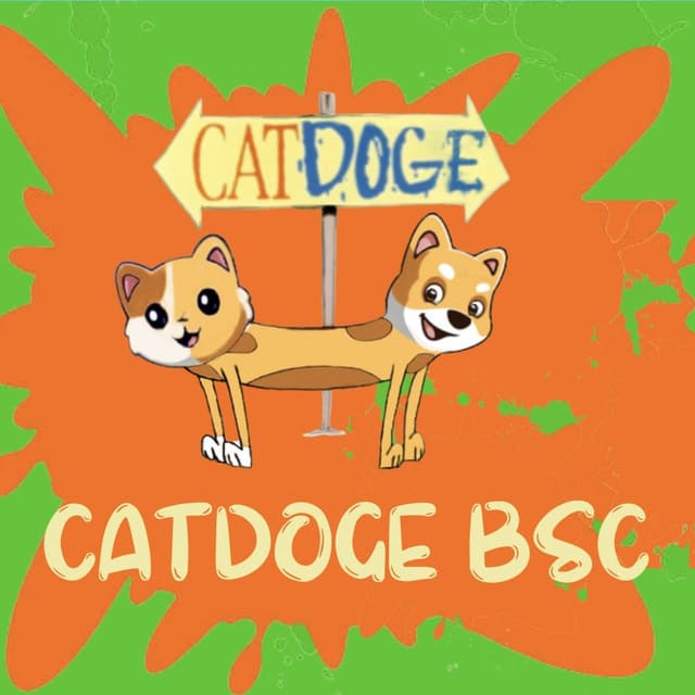 CatDoge presale - How to buy CatDoge