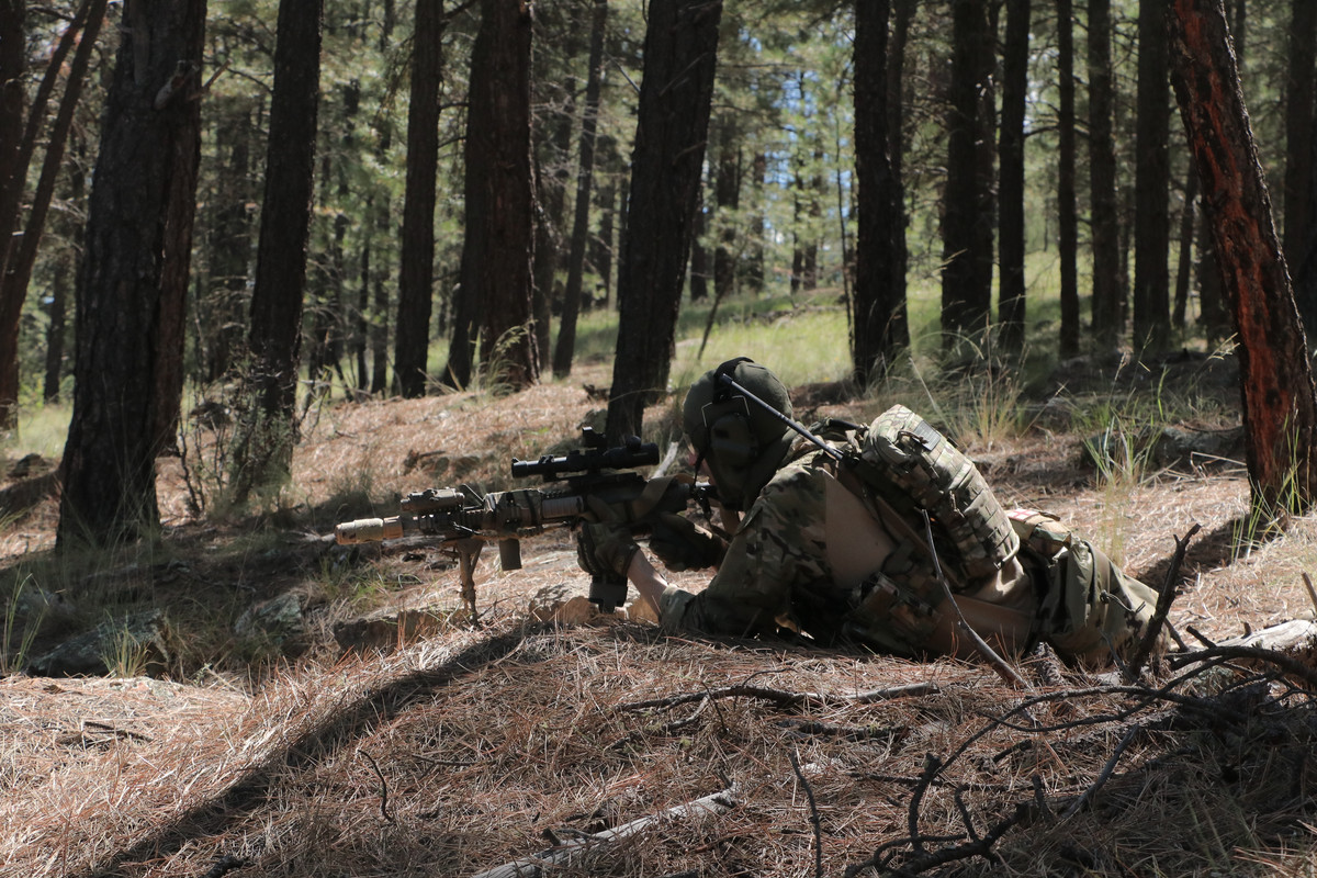 IMG 0081 — Postimages