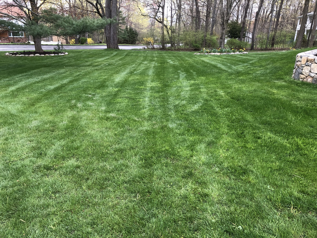 Grass1 — Postimages