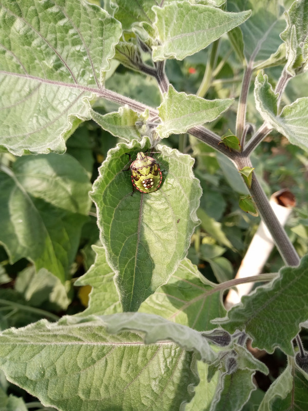 IMG 20220906 154450 457 — Postimages