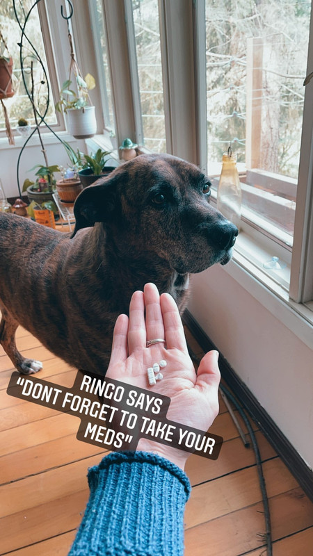 1663888098582001 — Postimages