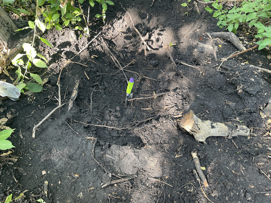 65 Befab9 0 Cad 4 Daa 9 Ec7 16871415 E713 Postimages