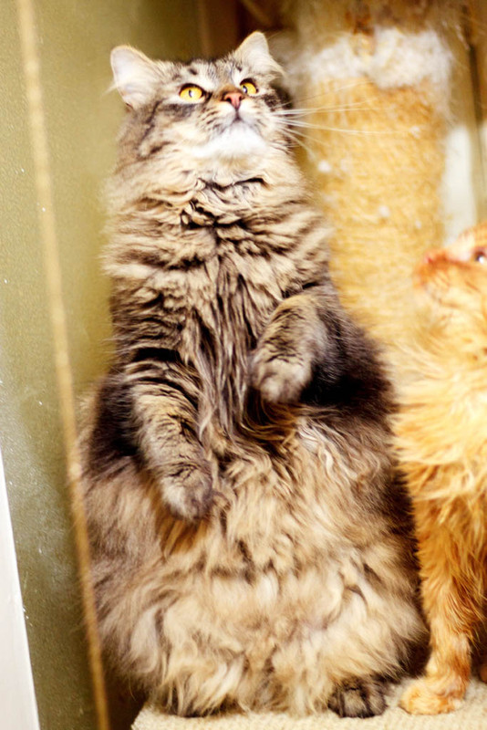 IMG 0975 — Postimages