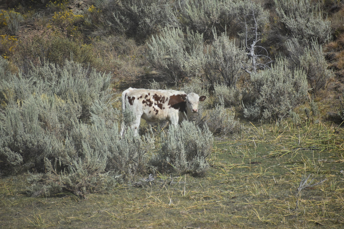 DSC 0181 — Postimages