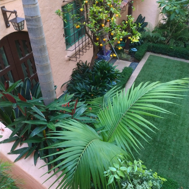 IMG 20201229 190657 753 — Postimages