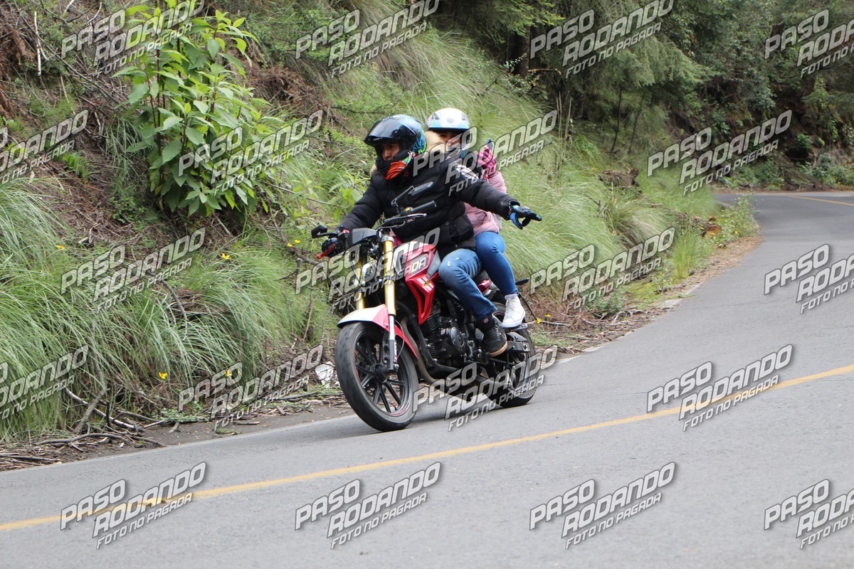 IMG 2273 wm 89190 watermarked — Postimages