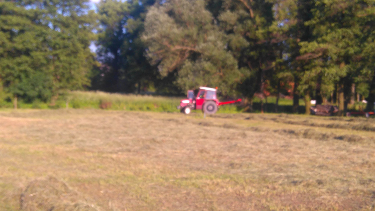 DSC 1602 — Postimages