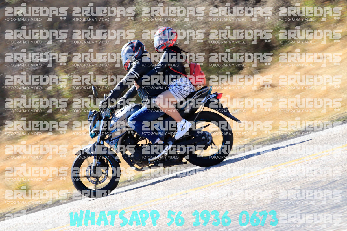 MG 1116 — Postimages