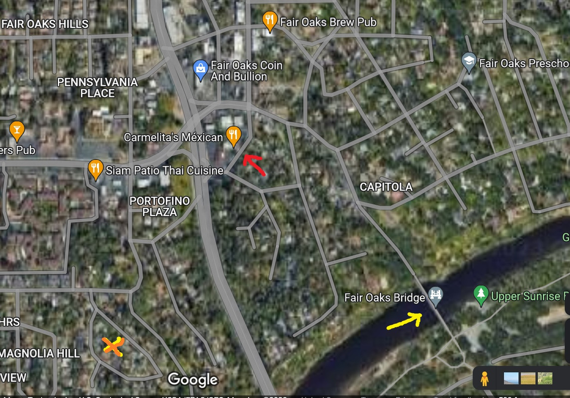 A Fair Oak Surviving a Precarious Stance in My Childhood Hometown of ...