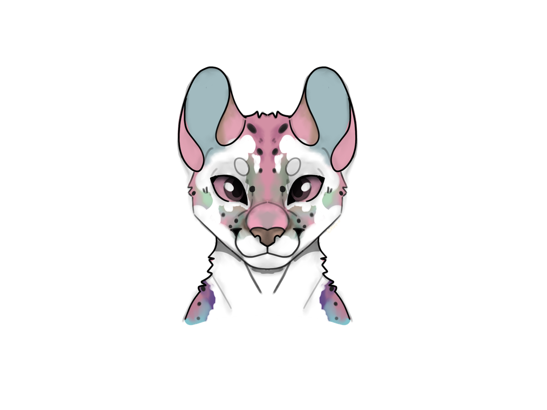 E0 EB2 F68 F24 B 4705 B504 F264 CD3 EE618 — Postimages